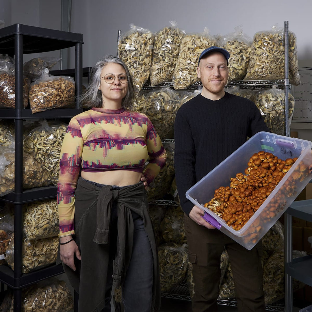 Nos producteurs – Marché de la Centrale agricole